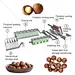 Macadamia Nut Primary Processing Line